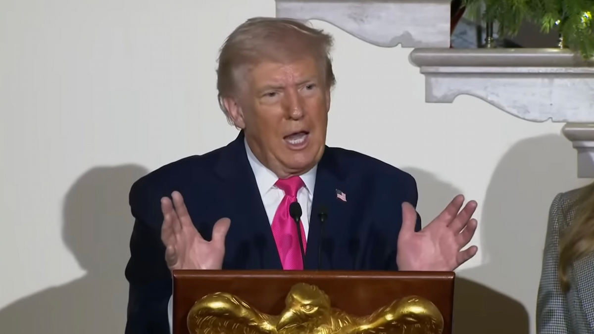 'Idiot' is the word of choice for Donald Trump, according to his former ...