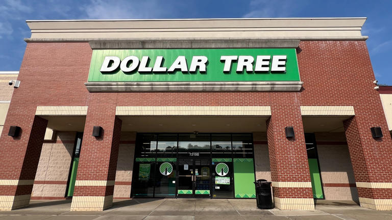 Shop Dollar Tree for these 5 affordable items — but avoid these 5 other ...