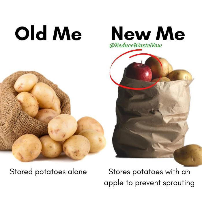 49 'Old me vs. new me' memes that will help you reduce waste