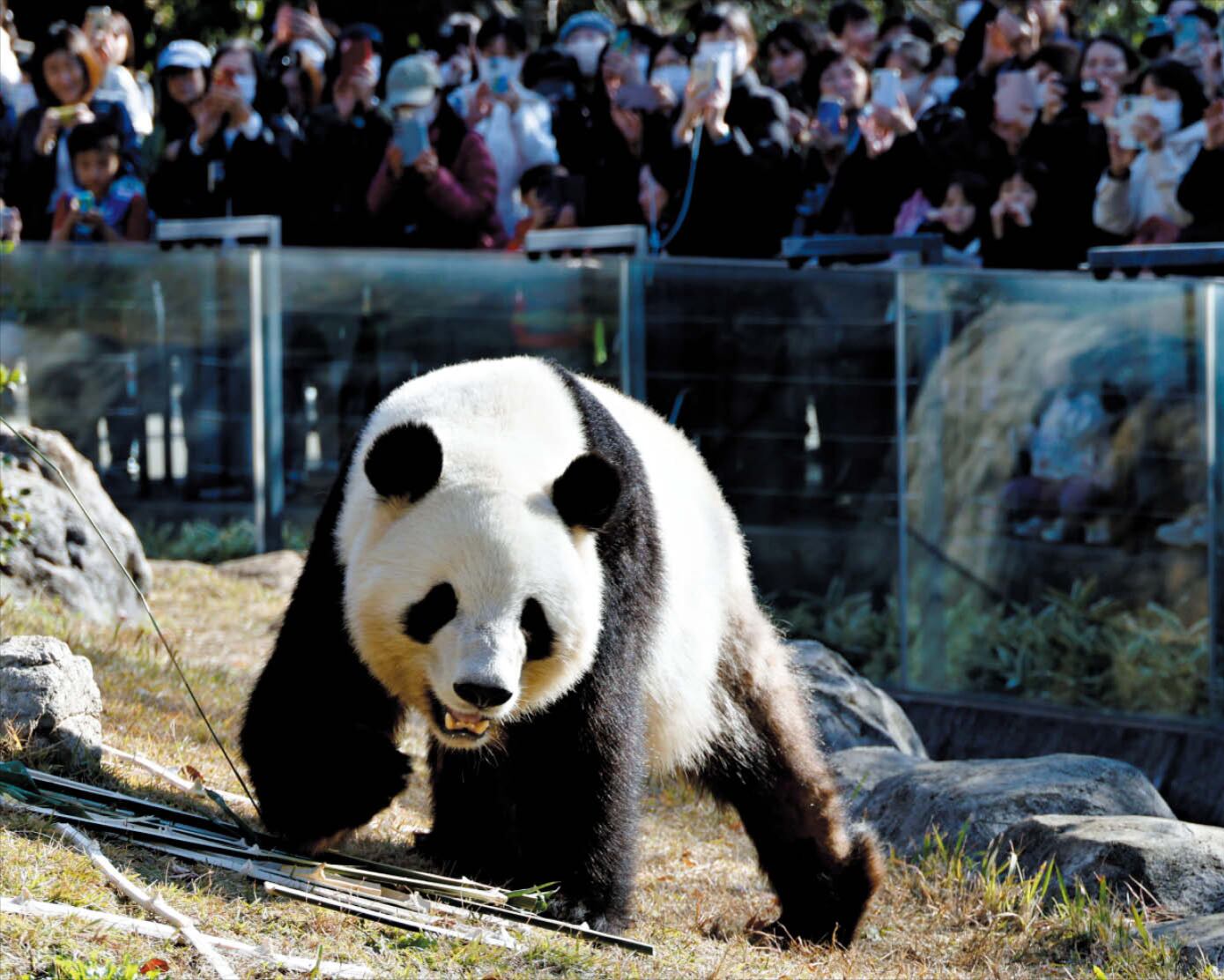 Japan ends 54-year panda era amid tensions with China