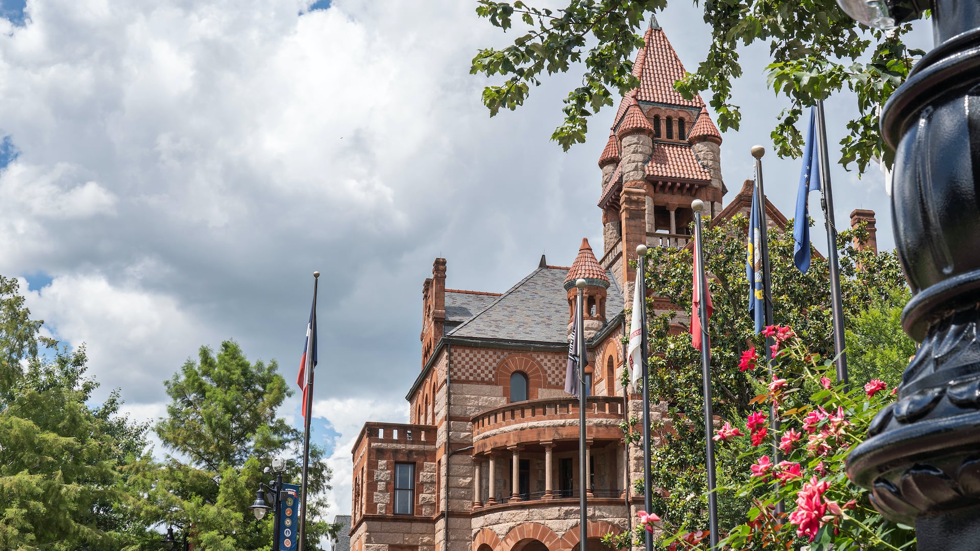 This 'controversial' American novel was the most searched book on ...