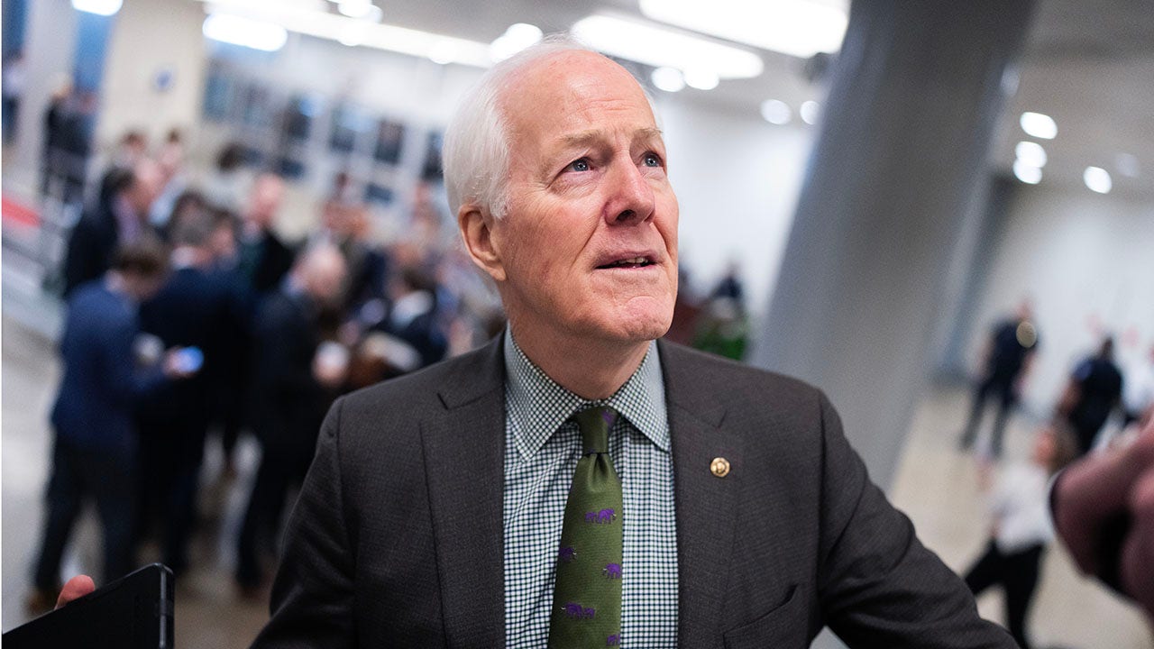 Cornyn torches Democratic field, says party now 'ruled by socialists'