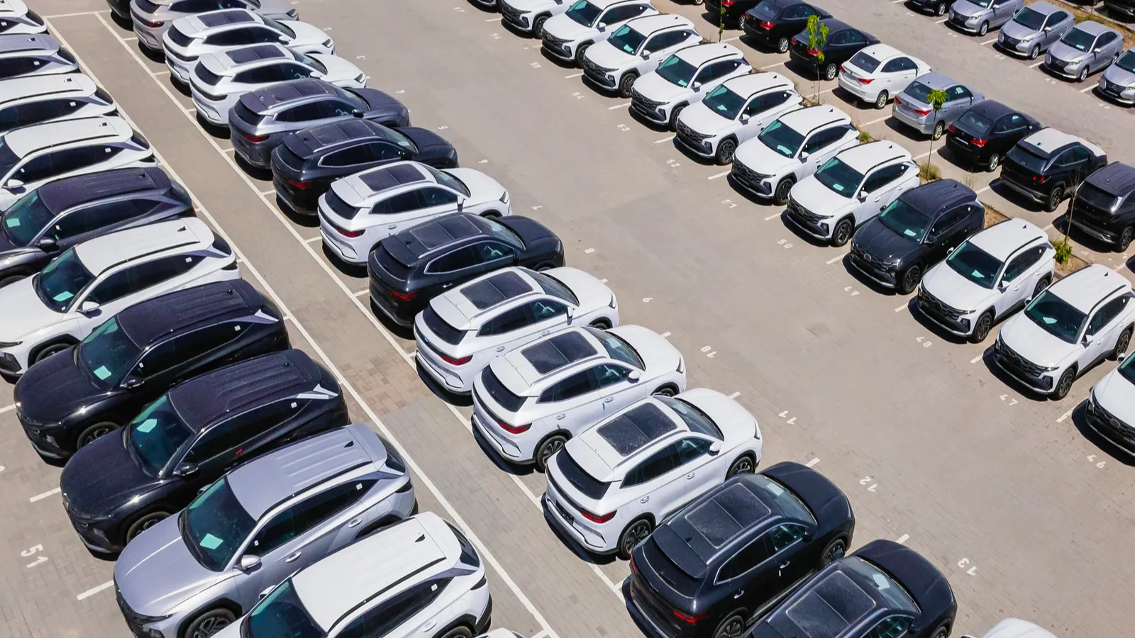 Famous stars who turned their classic cars into electric rides