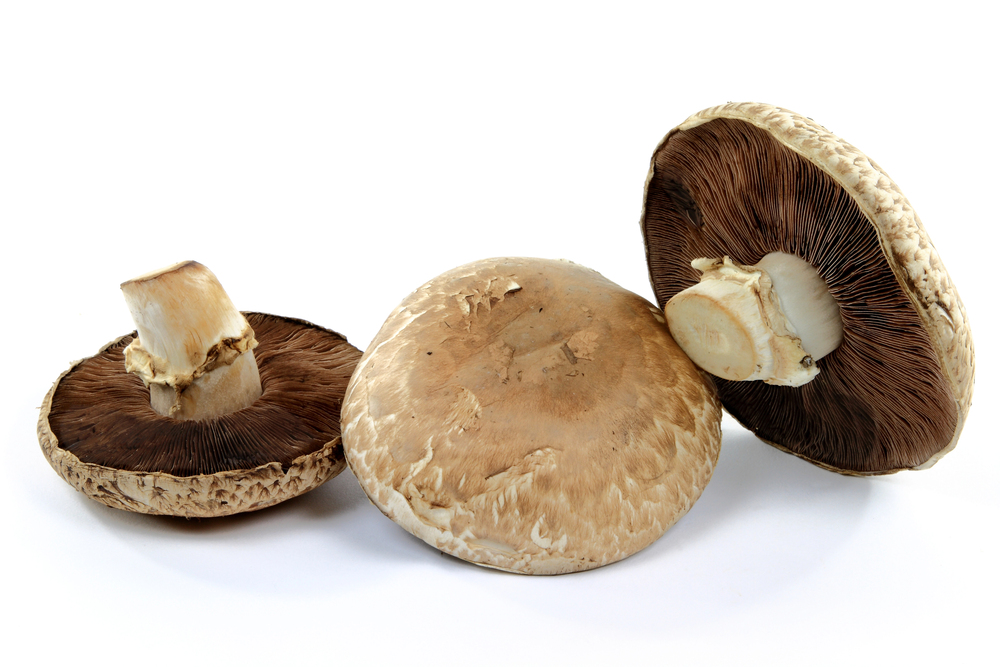Delicious mushroom-based meat alternatives to try at home