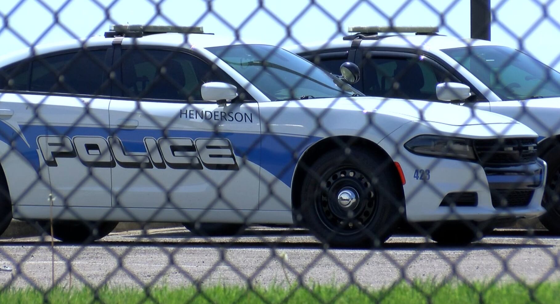 Henderson police arrest man accused of throwing cat in viral video