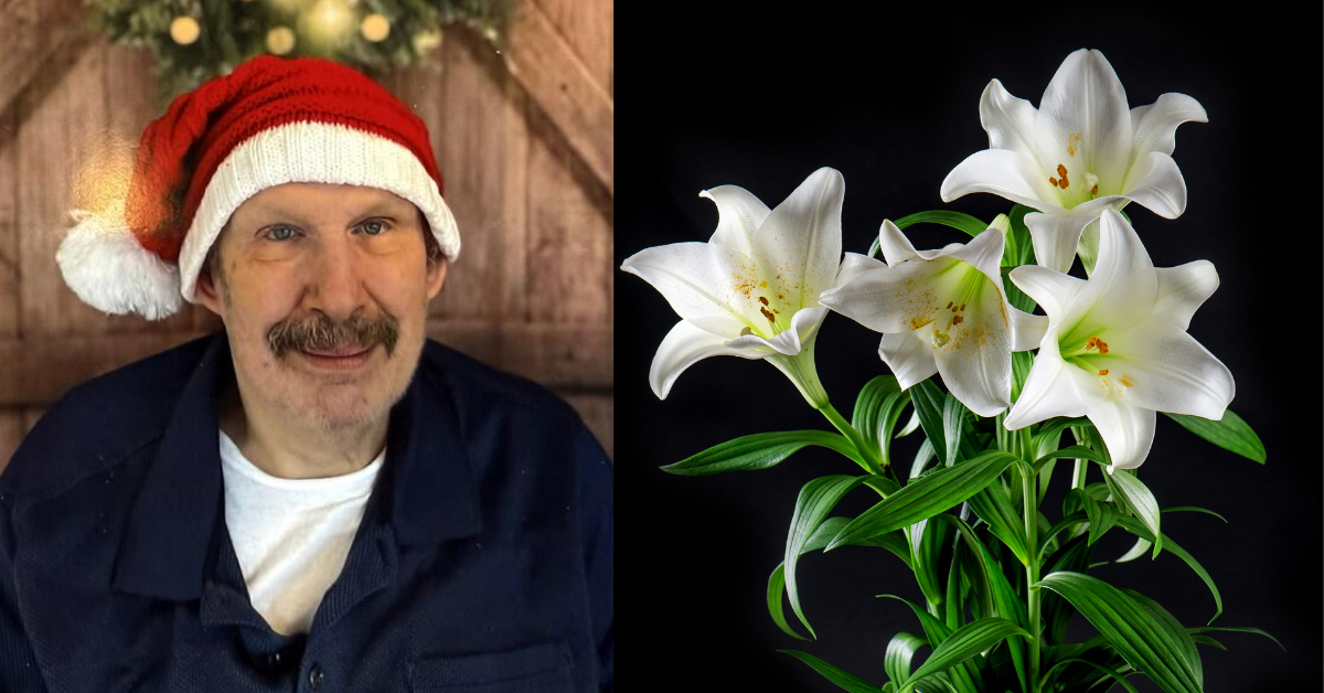 Jeffrey Domer, 79, of Racine - Obituary