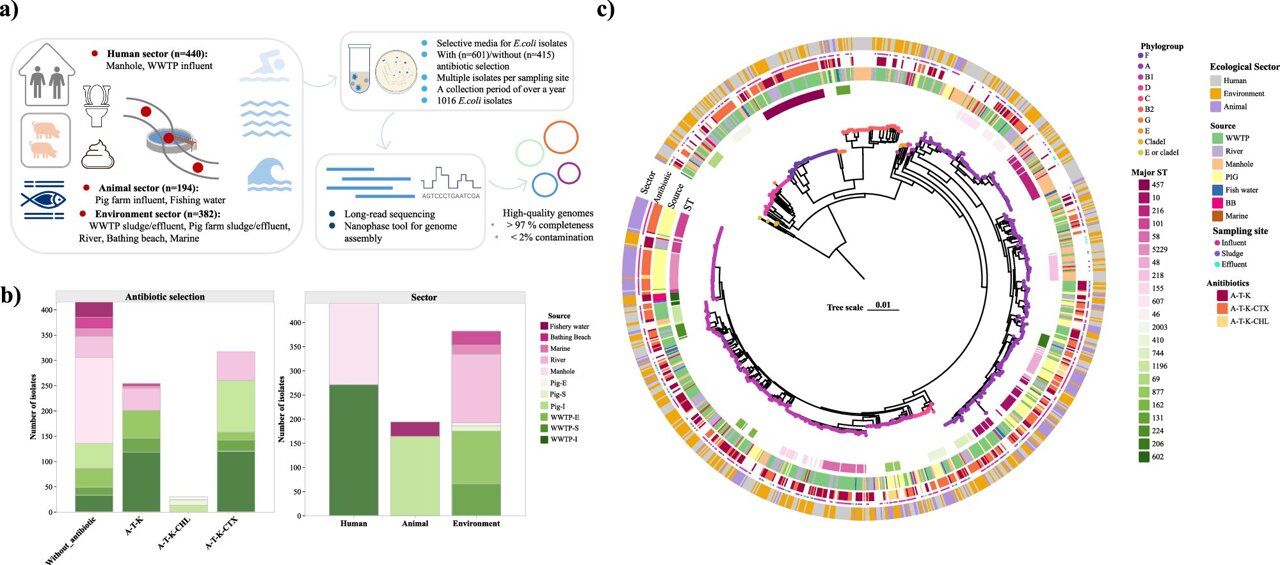 Novel tracking method reveals spread of antibiotic resistance across ...