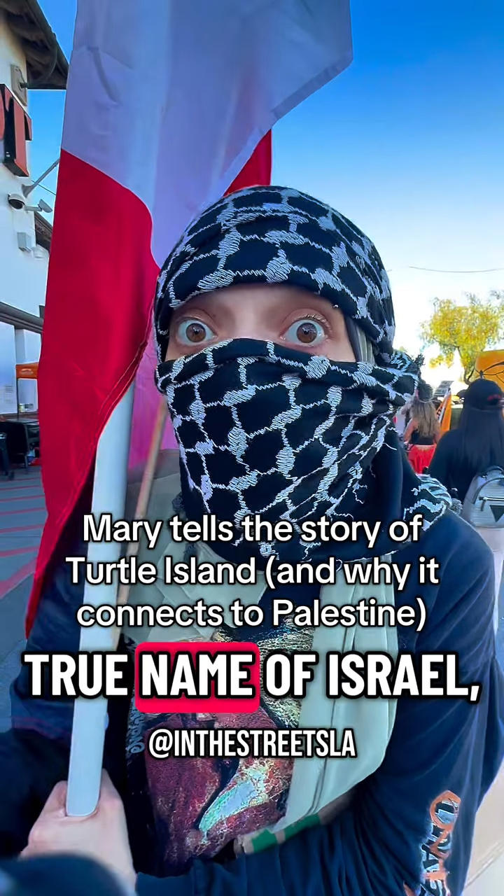 Far-left extremists face judge in alleged LA bombing plot as trans ...