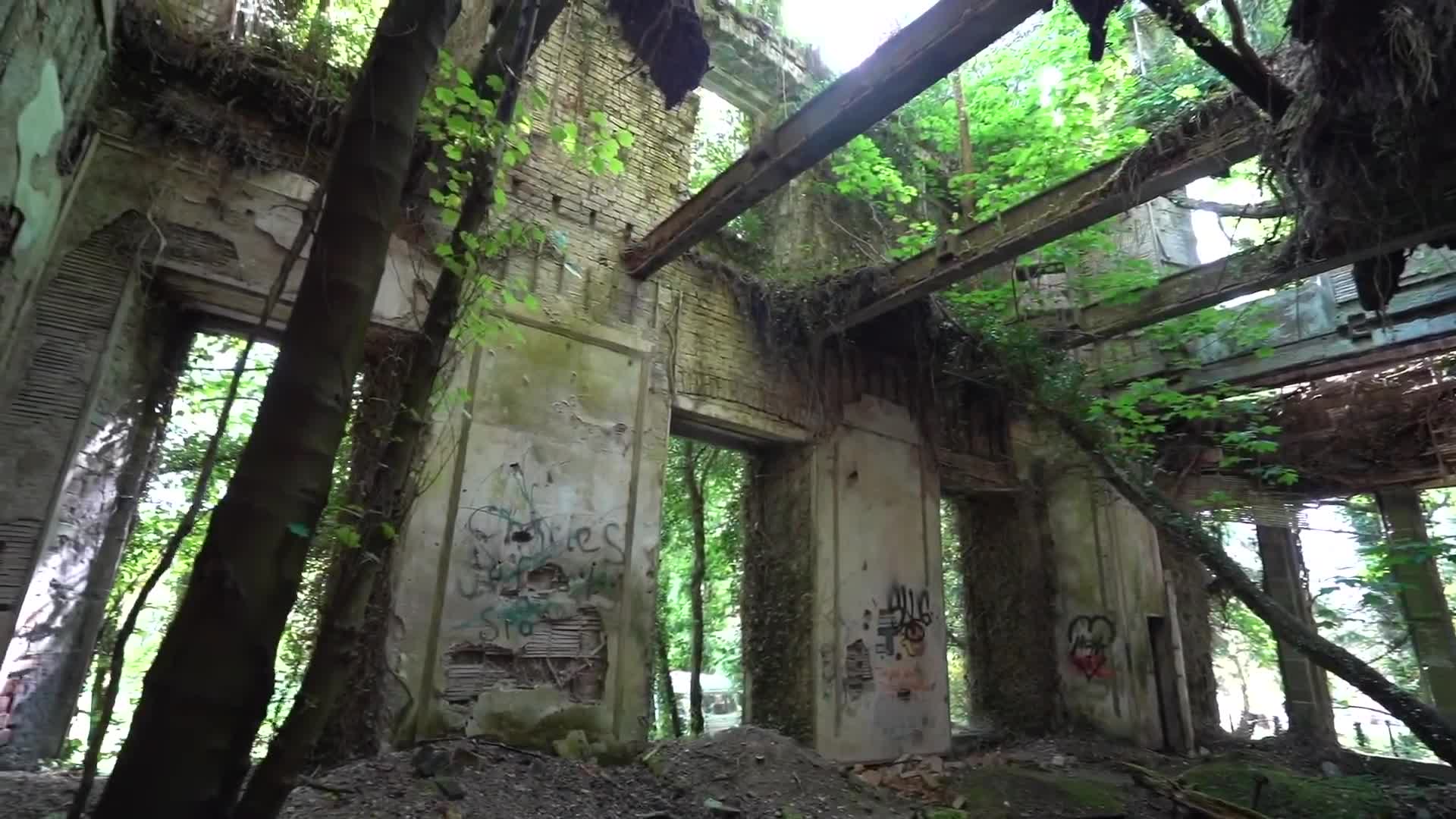 Inside Buchanan Castle: Scotland’s forgotten ruin