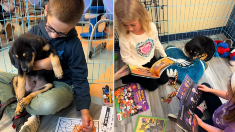 First Graders Foster Shy Puppies in the Classroom & It’s Nothing Like ...