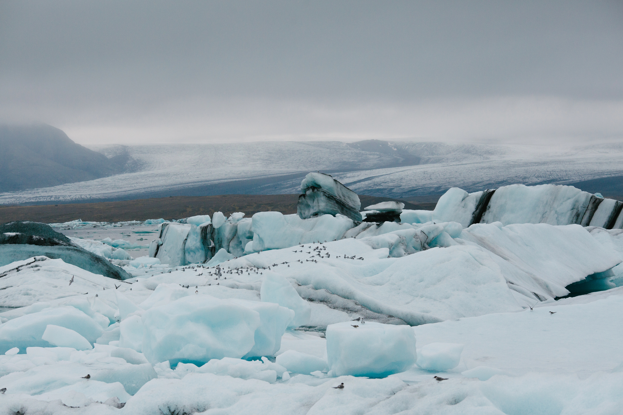 Strange things found melting in glaciers
