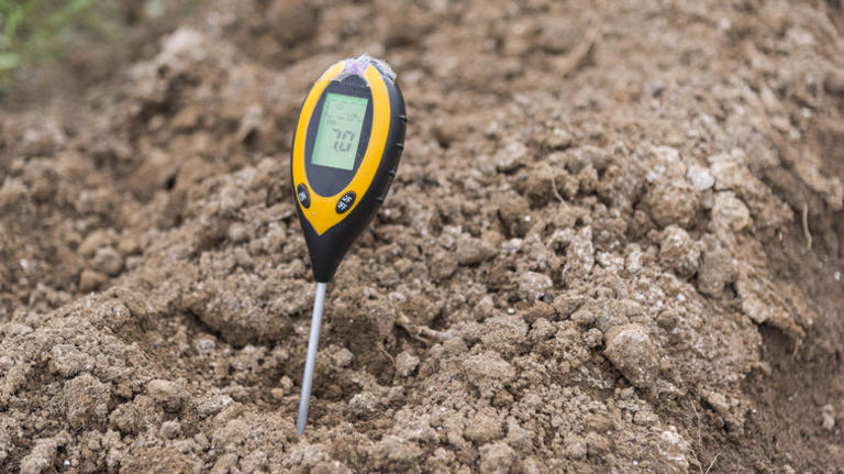 12 common lawn leveling mistakes to avoid at all costs
