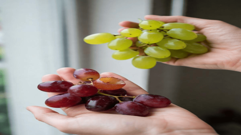 Red vs. green grapes: Which one is healthier for you, according to ...