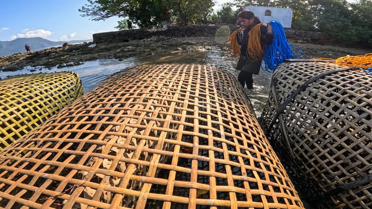 Découvrez les trésors cachés de l'océan