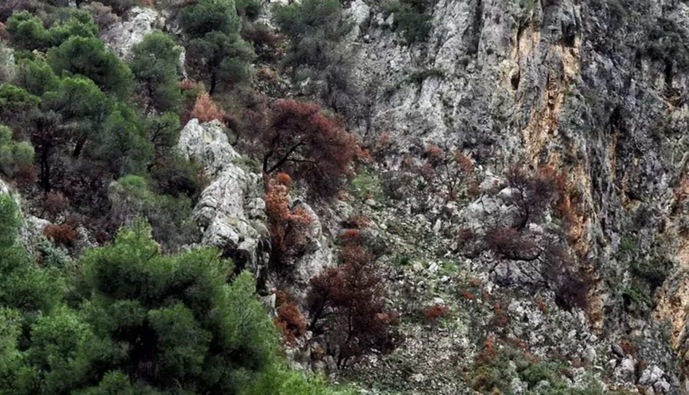 Σε μία από τις δύο εξαφανισμένες Γαλλίδες τουριστριών ανήκει ο σκελετός ...