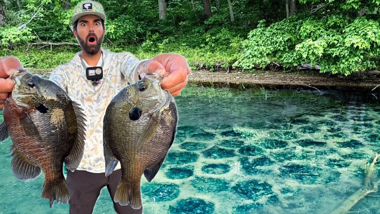Tons of spawning bluegill found during a difficult fishing trip