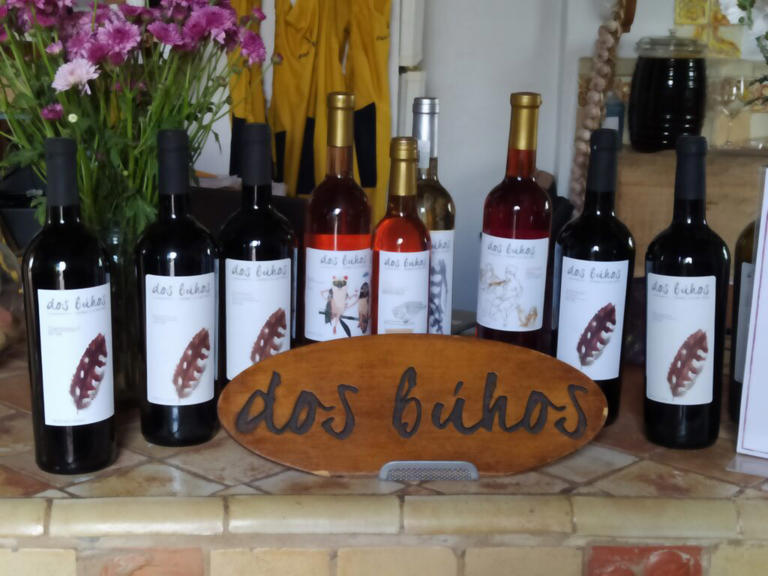 9 Mexican wine brands you should try on a wine list
