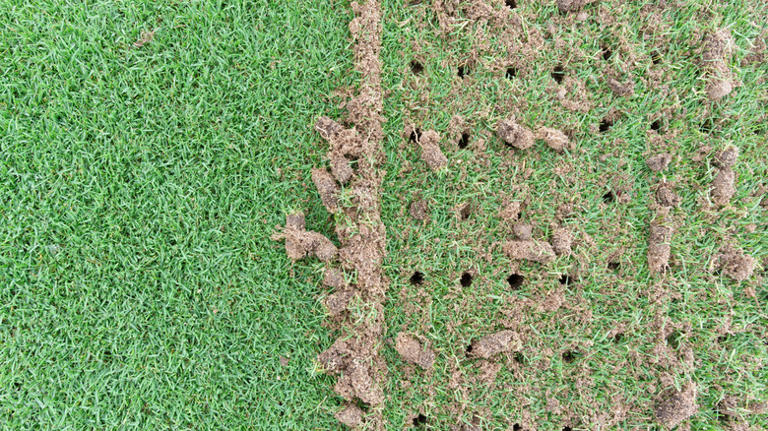 12 common lawn leveling mistakes to avoid at all costs