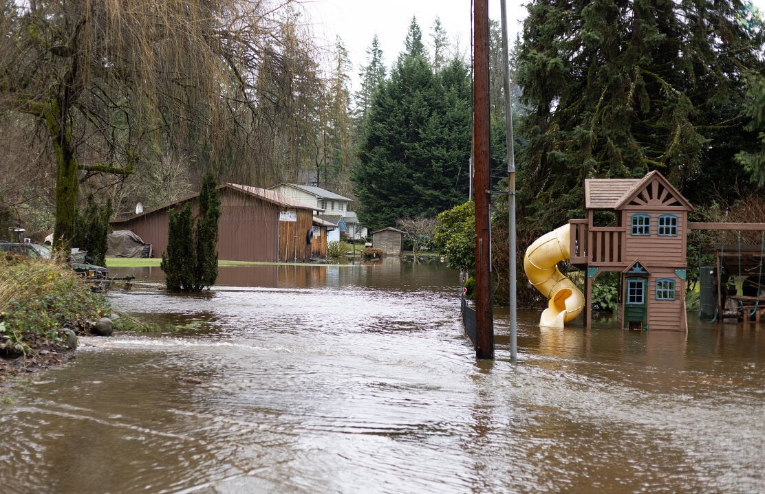 6 poison risks to be aware of during flooding