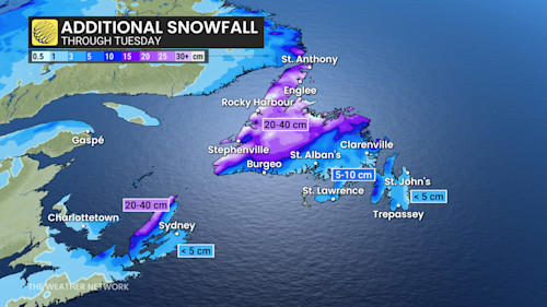 Parts of Newfoundland to see blizzard conditions as potent storm packs ...