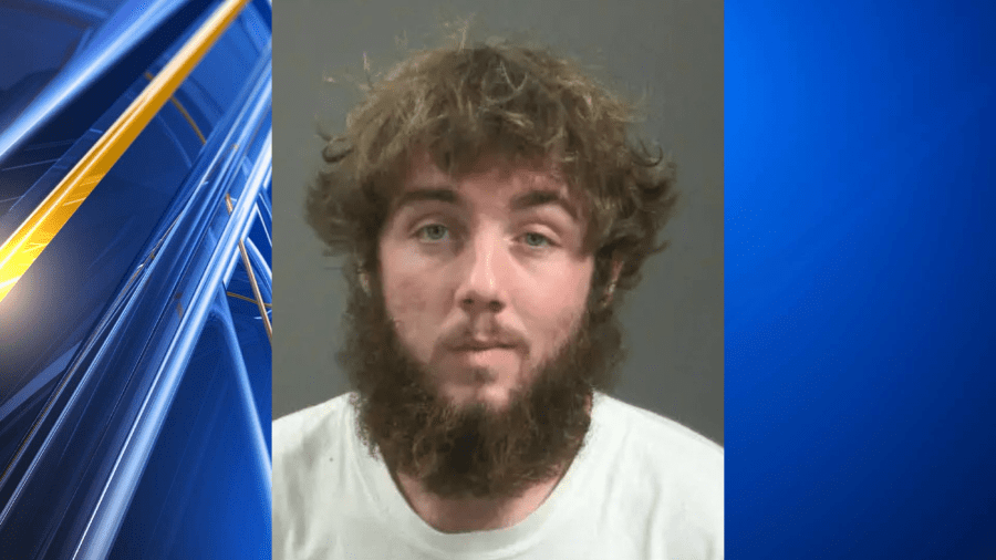 Elkins man pleads not guilty to charges connected to crash that killed two