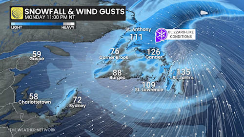 Parts of Newfoundland to see blizzard conditions as potent storm packs ...