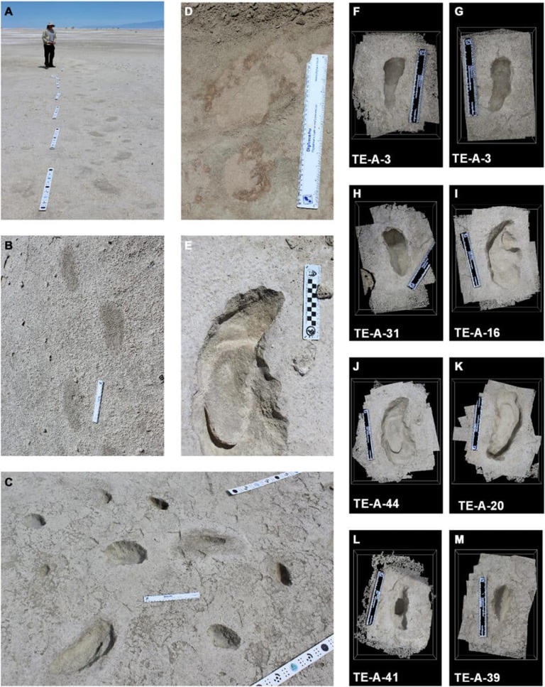 Scientists have found massive underground tunnels in South America, and ...