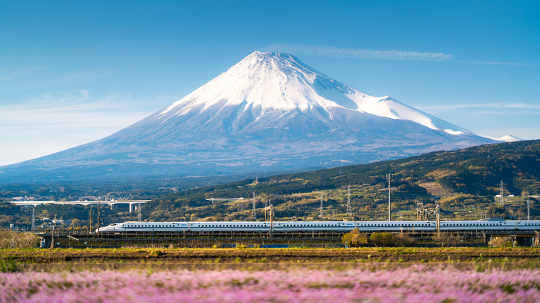 Shinkansen luggage rules you need to know for traveling on Japan's ...
