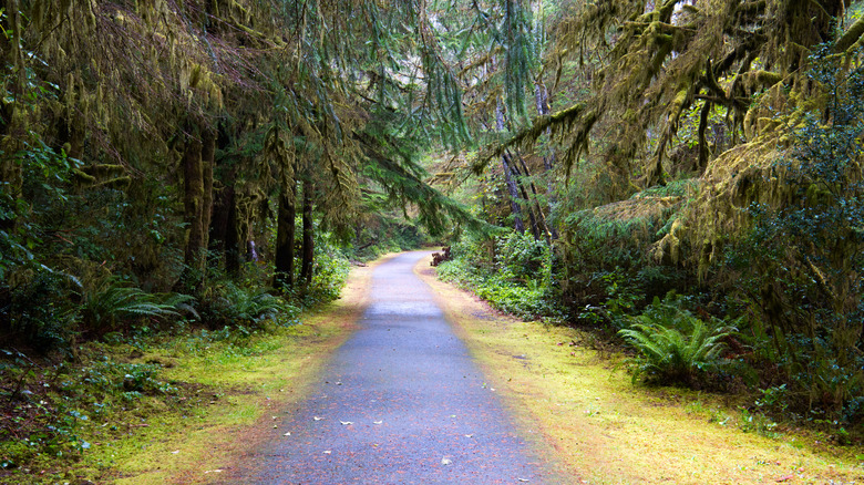 This sprawling, coastal Oregon state park offers cozy campsites and ...