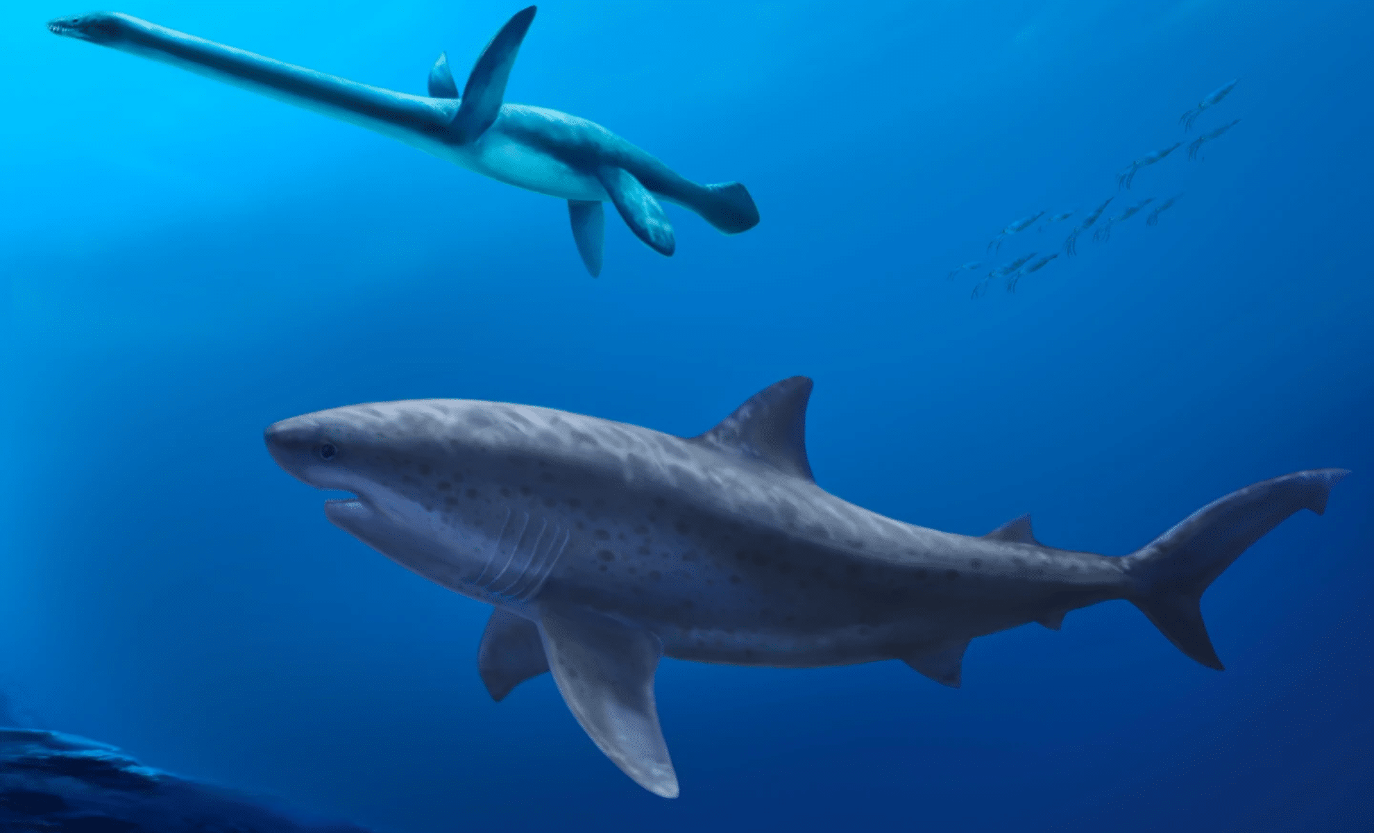 Massive prehistoric shark predates megalodon by 15 million years