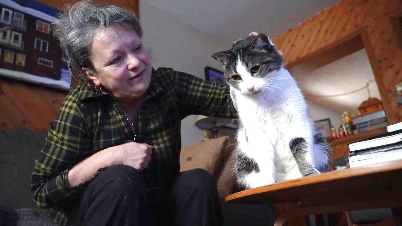Flin Flon woman's cat came back after fleeing during wildfire evacuation