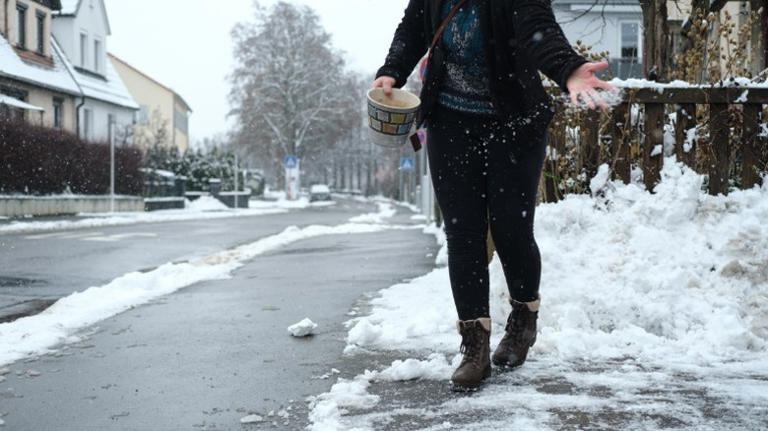 Types of winter salt to avoid using and safer alternatives for plants