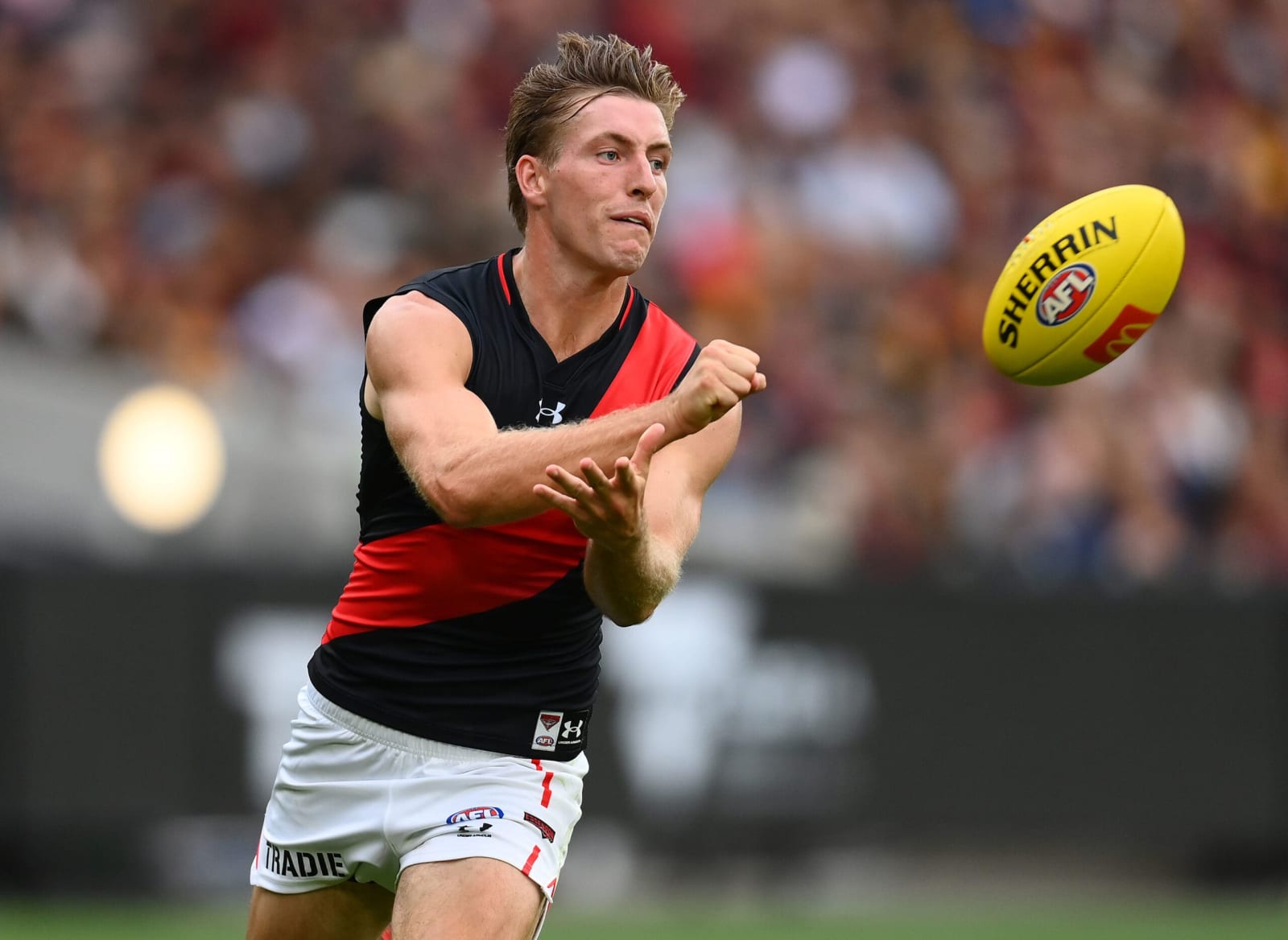 Privilege: Essendon confirm Nic Martin SSP replacement