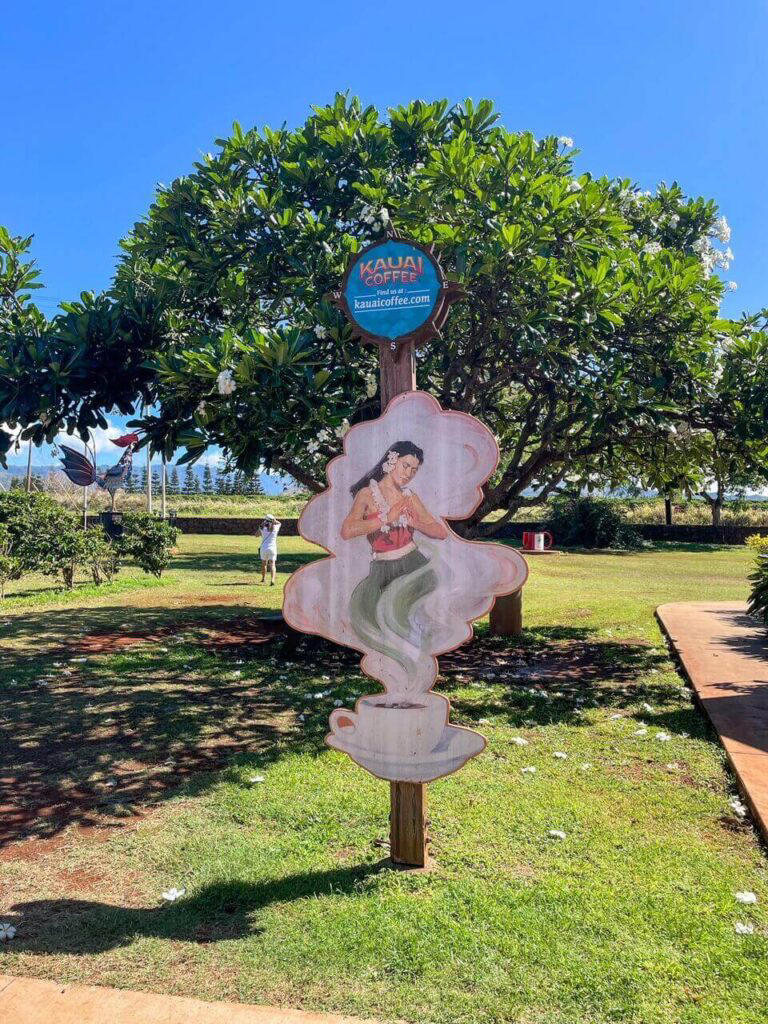 Is March actually a terrible time to visit Kauai? (Spoiler: No, but ...