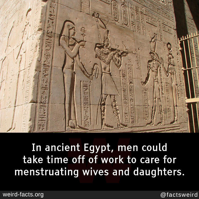 49 facts so fascinating they’ll stick in your brain all week