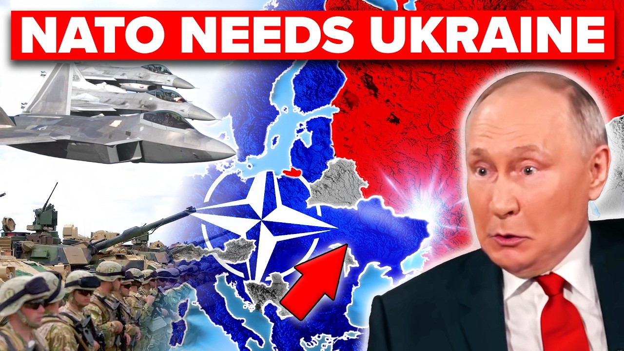 If Ukraine joined NATO today: The consequences that would follow