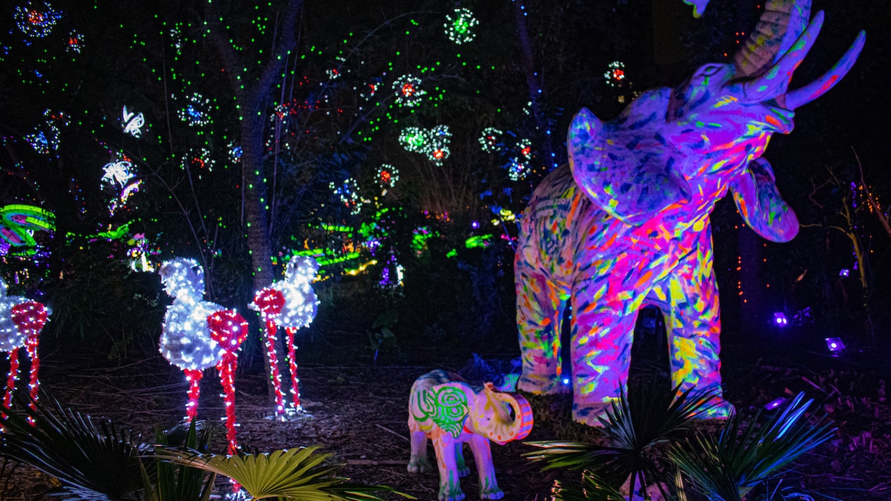 Houston Christmas lights display locations: Neighborhoods, drive-thrus ...