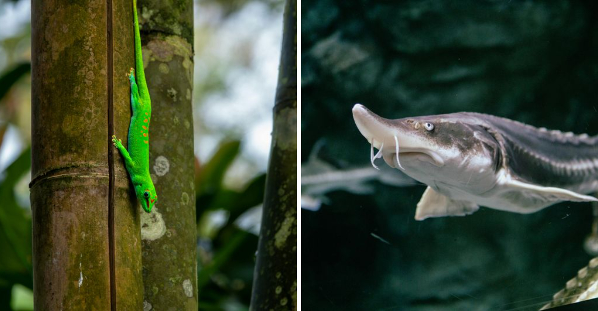10 common animals you’ll be amazed to learn have prehistoric roots