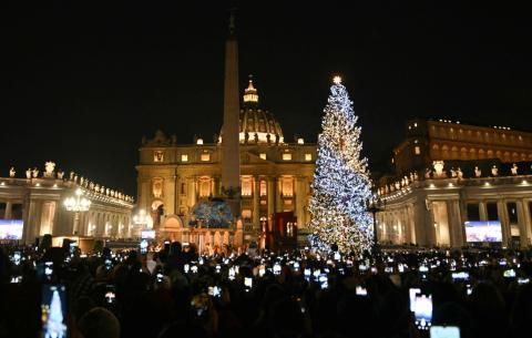 Südtiroler Christbaum auf Petersplatz feierlich illuminiert
