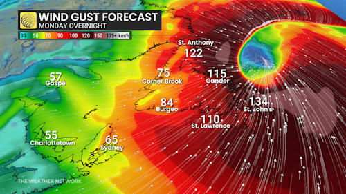 Parts of Newfoundland to see blizzard conditions as potent storm packs ...