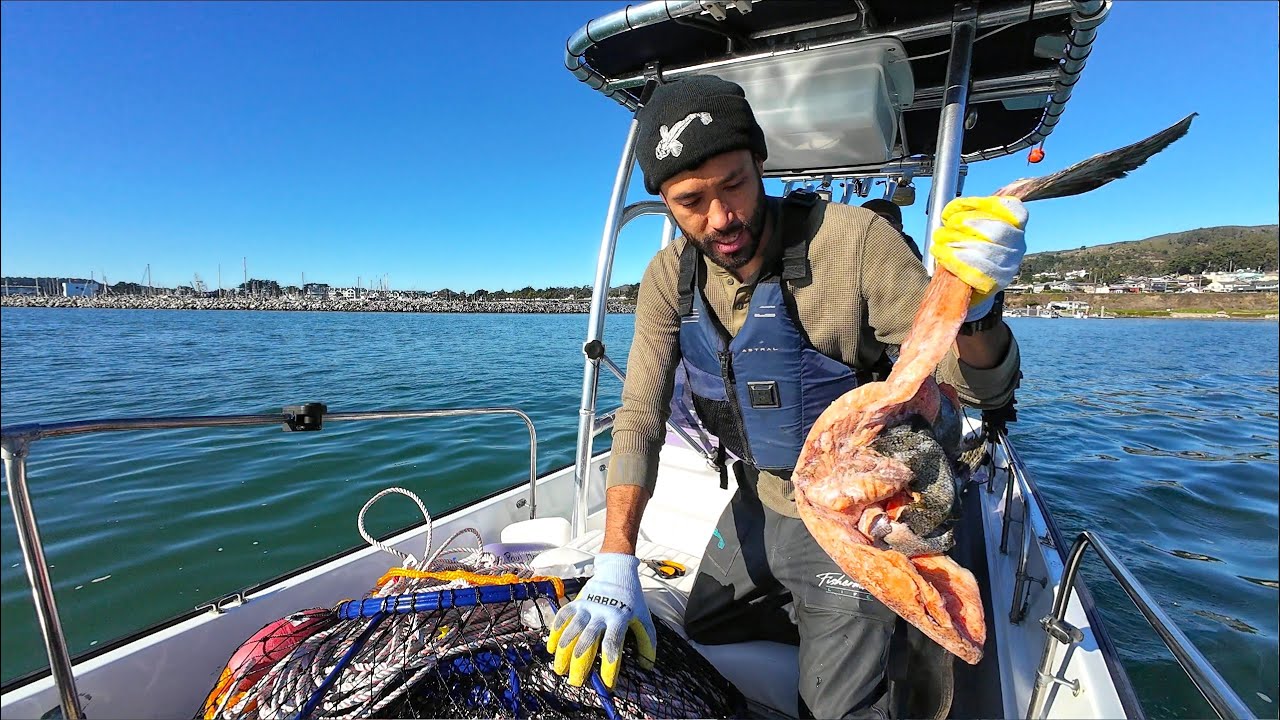 Night crabbing at Half Moon Bay - Thanksgiving catch!