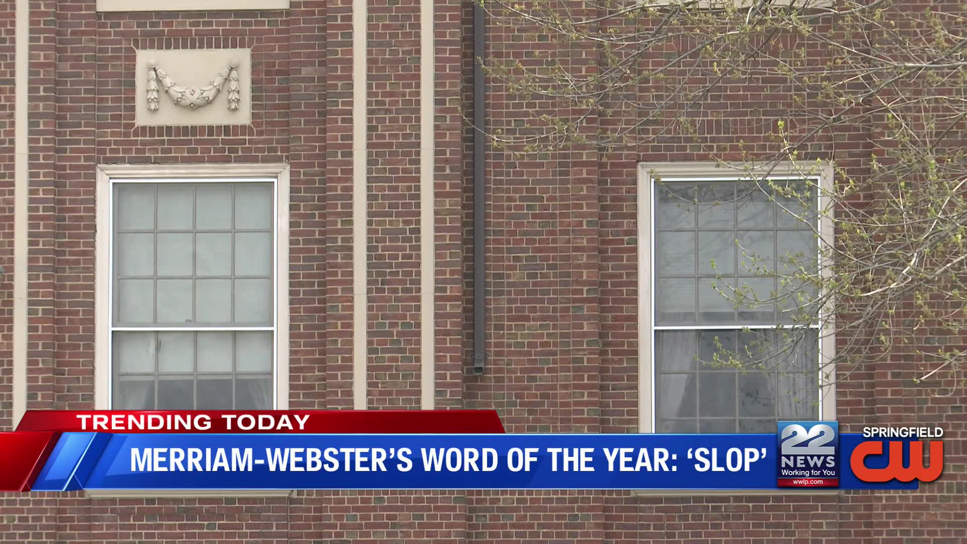Merriam-Webster releases 2025 word of the year