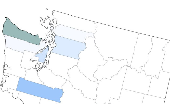 Over 9.9k customers without power across western Washington