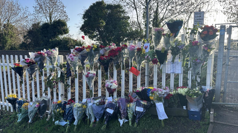 Rail investigation after boy fatally hit by train