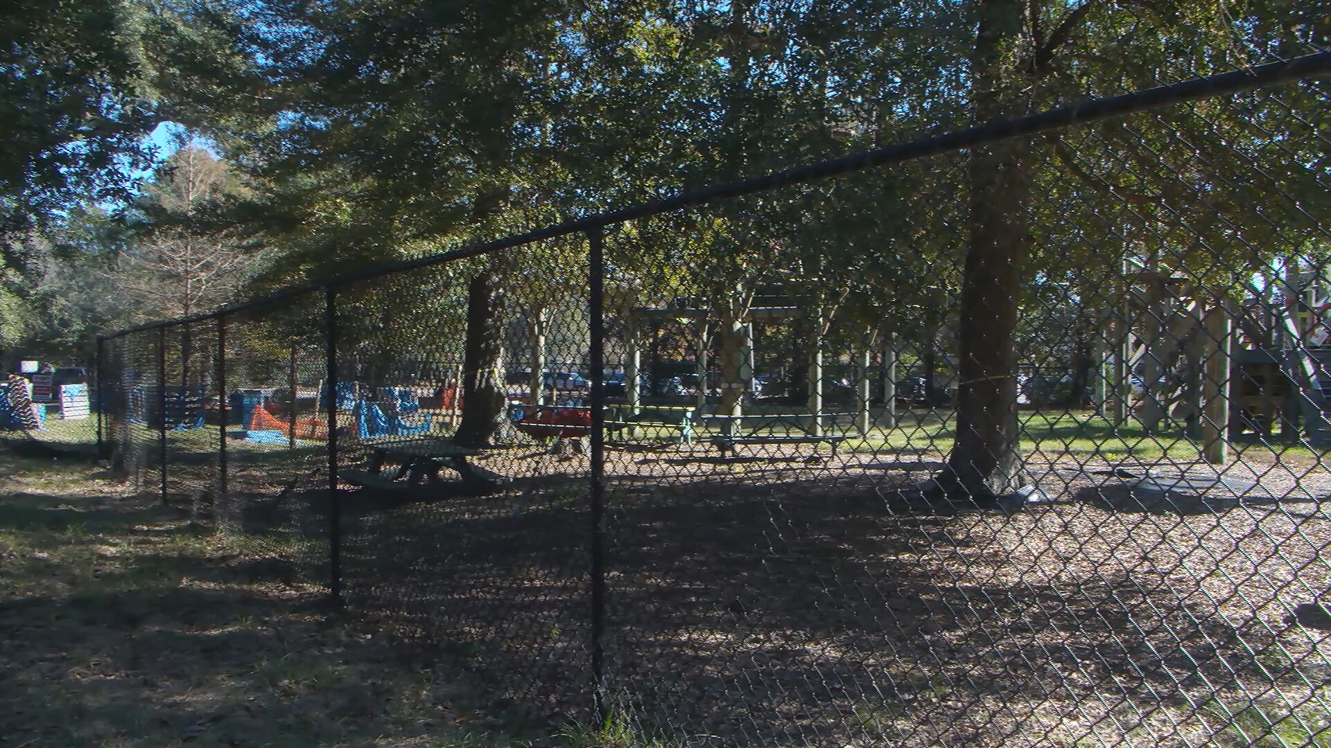 Roper St. Francis requests tree removal for new James Island facility