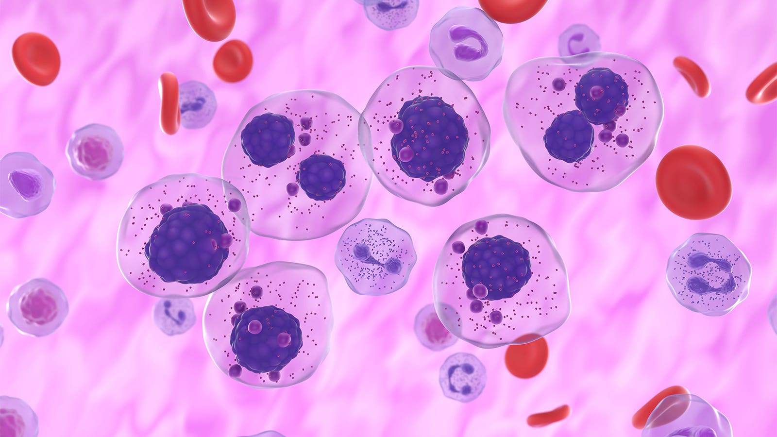 Novel pills promising in relapsed/refractory multiple myeloma