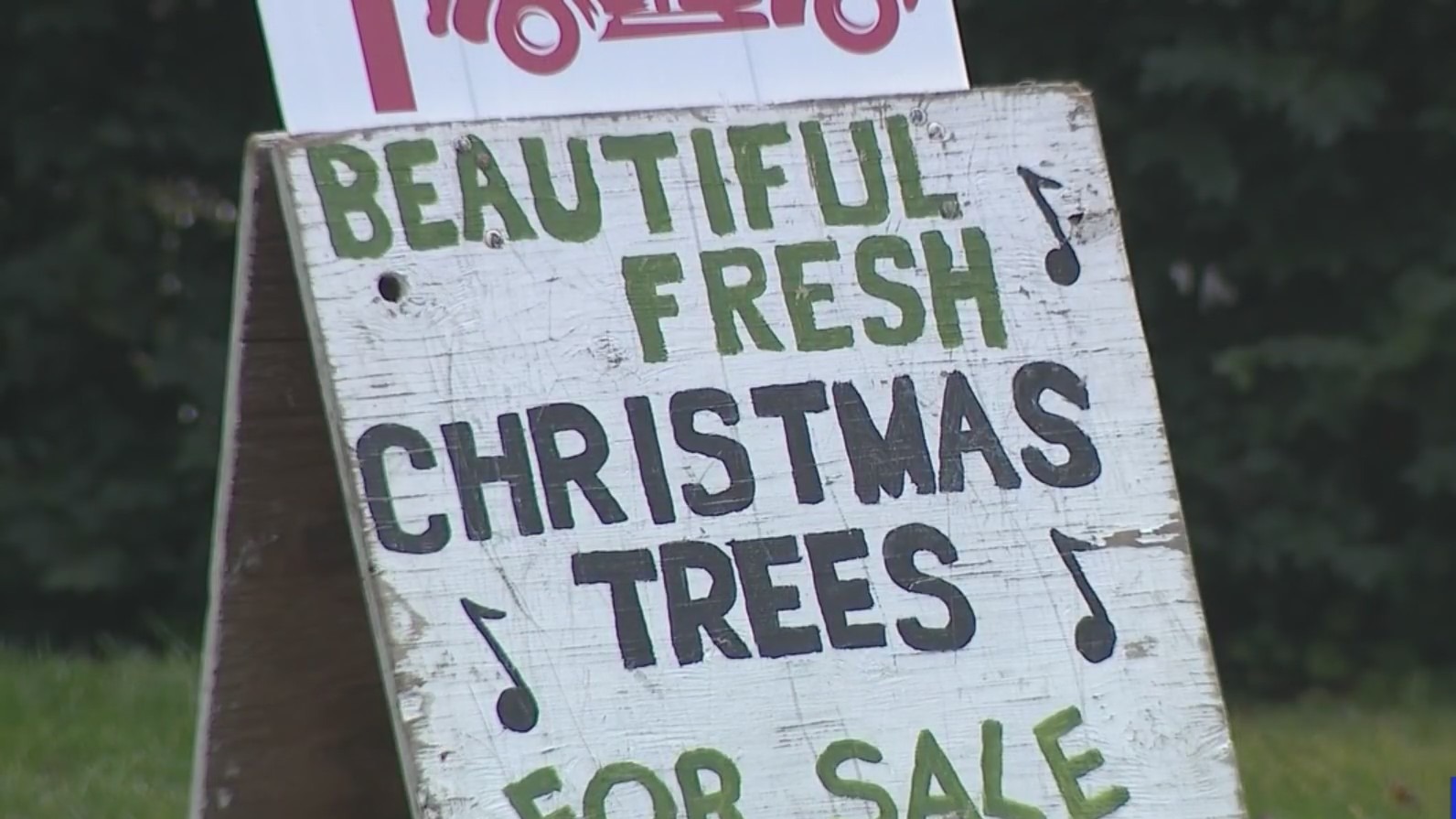 29 jars of weed left on Auburn sidewalk in apparent gesture of holiday ...