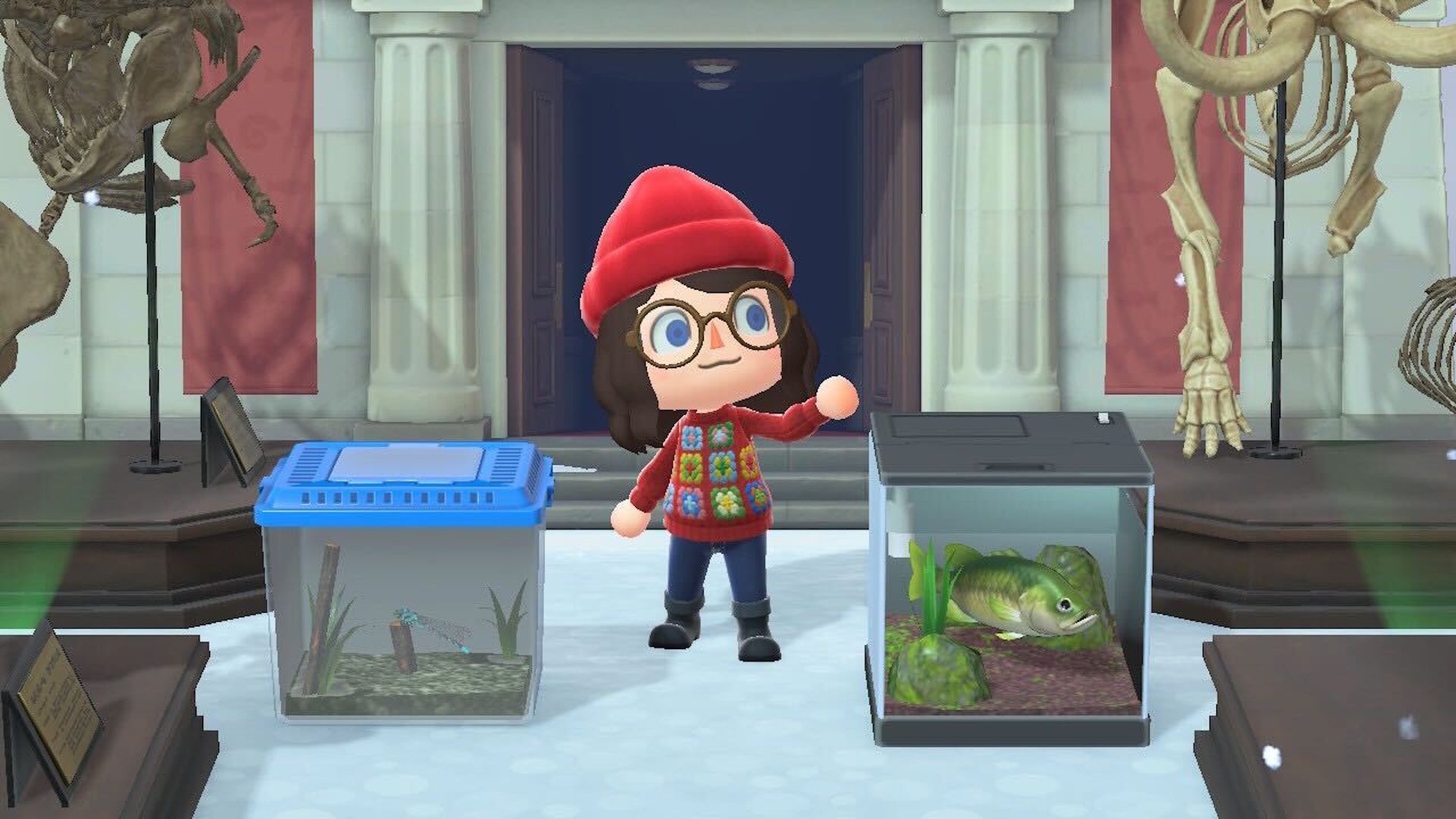 All ACNH January fish and bugs