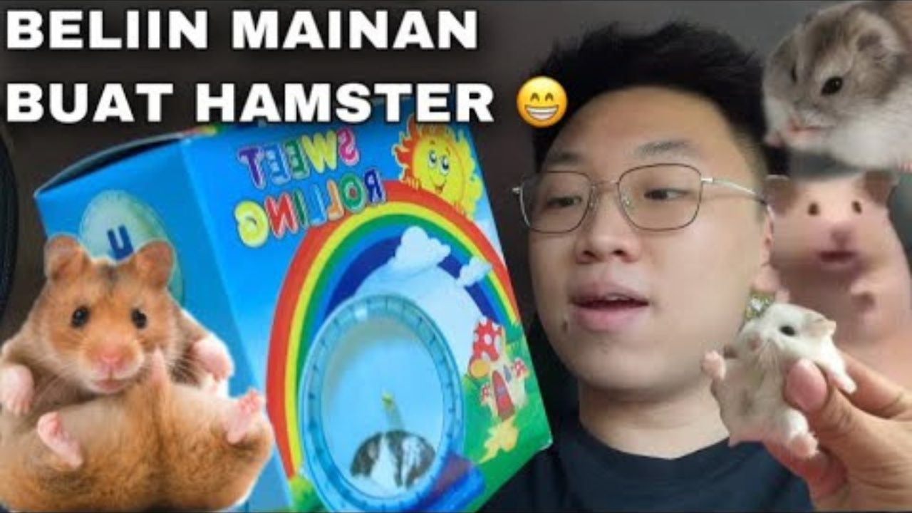 Apa yang terjadi saat Anda memperkenalkan roda latihan baru untuk hamster?