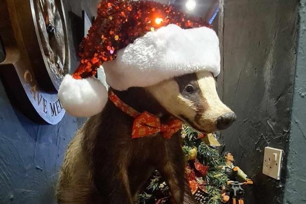 Pub staff thank the community after beloved stuffed badger returned ...